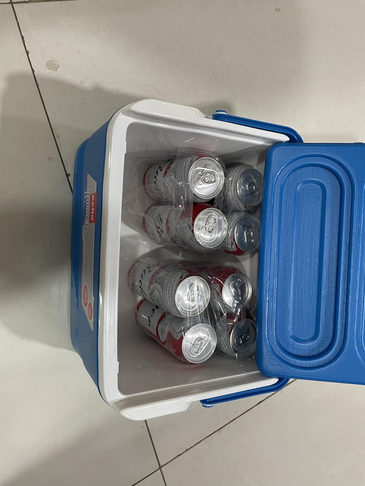 Buy Cello Chiller Ice Box | Standard Size for Travel Party Bar Ice ...