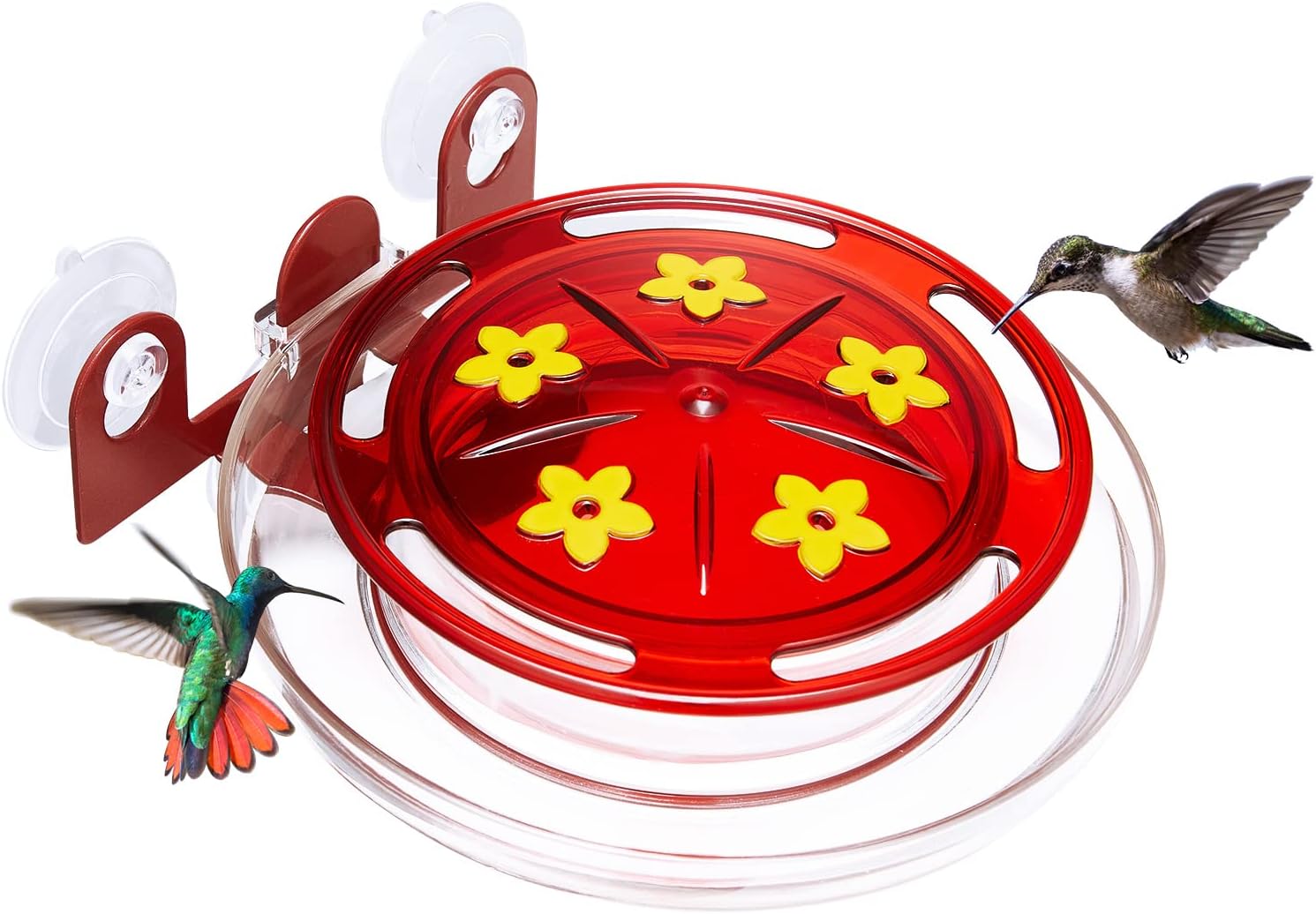Amazon.com : Perky-Pet 217 Window Mount Plastic Hummingbird Feeder with ...