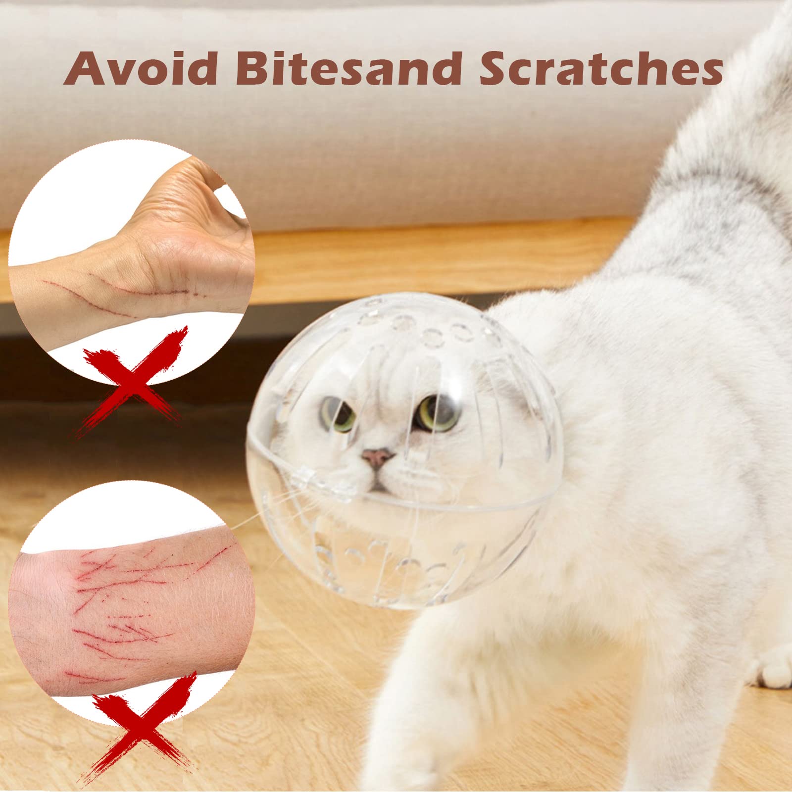 Snapklik.com : Cat Muzzle And Boots, Cat Breathable Bubble Helmet Hood ...