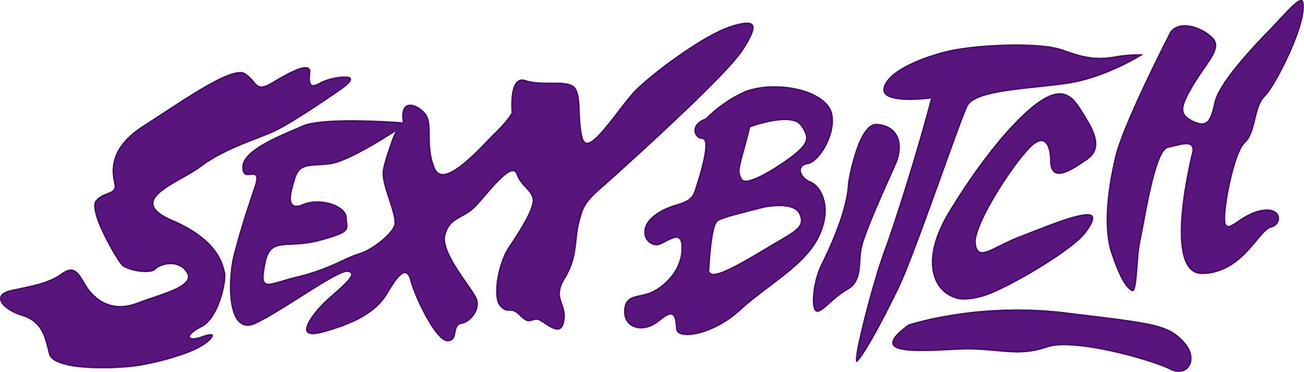 Sexy Bitch Decal Vinyl Sticker Coilover Jdm Racing Suspension Illest ...