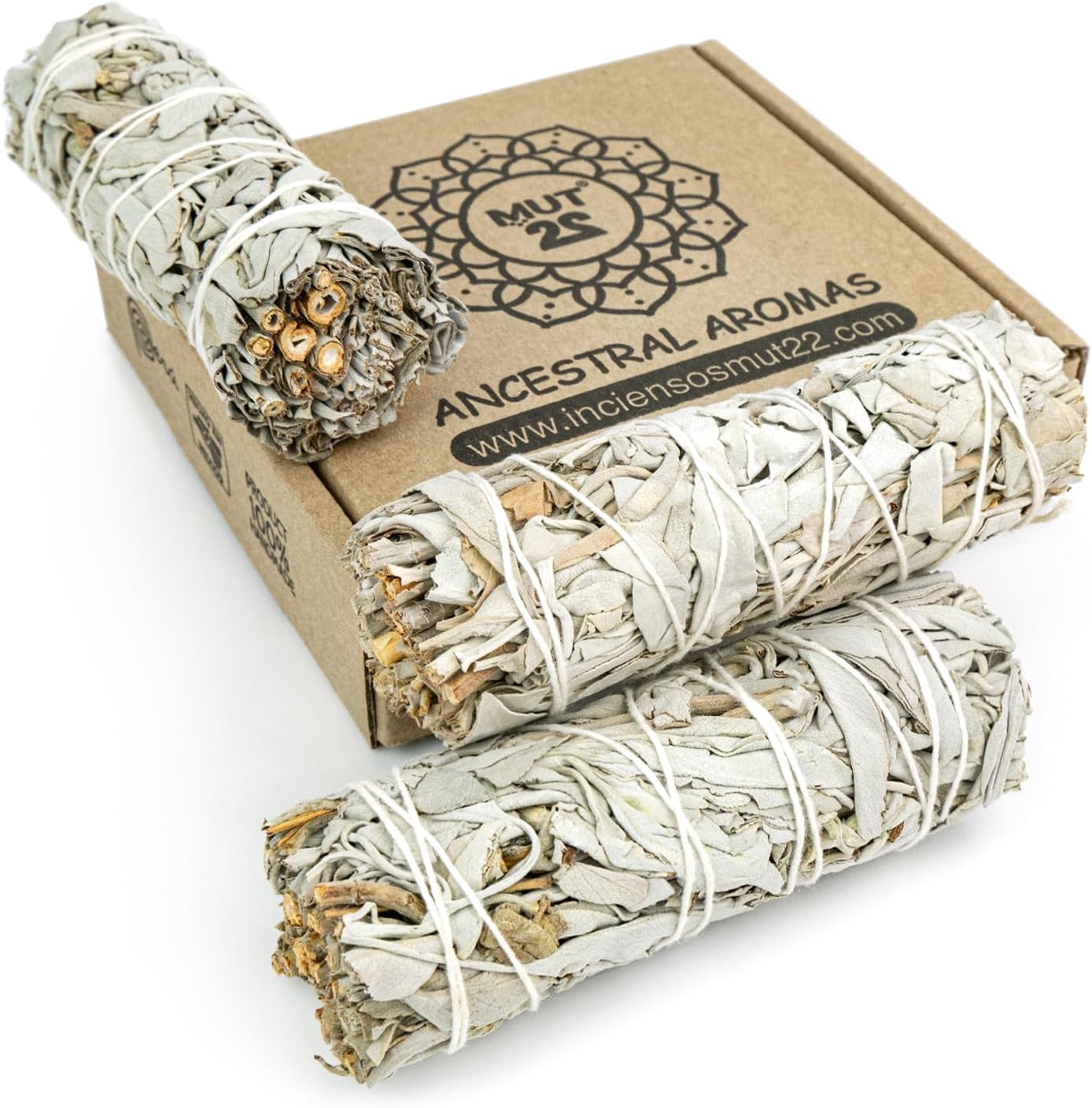 Native Spirit Ensemble: Baton Purificateur Sauge Blanche Moyen et ...