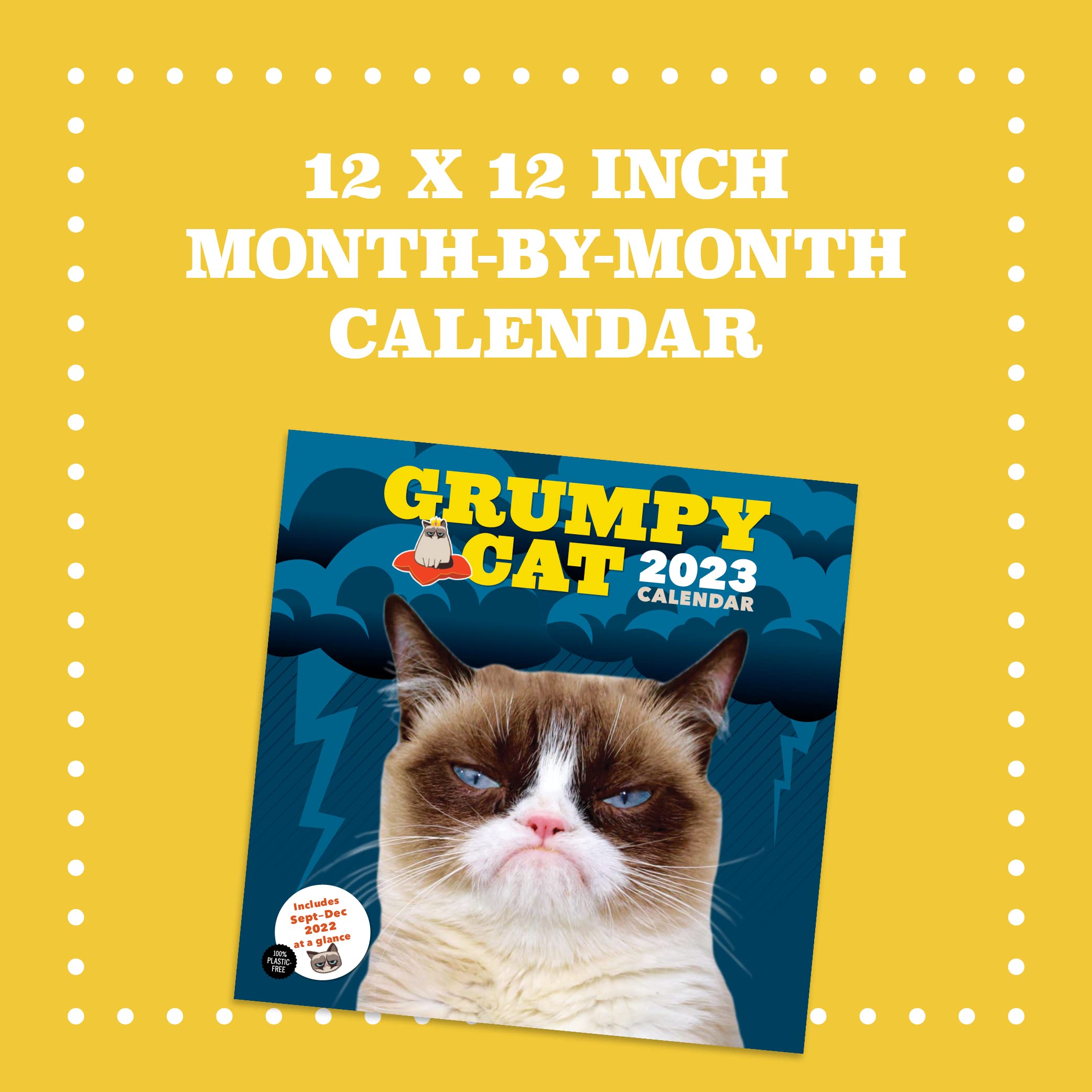 Snapklik.com : Grumpy Cat 2023 Wall Calendar