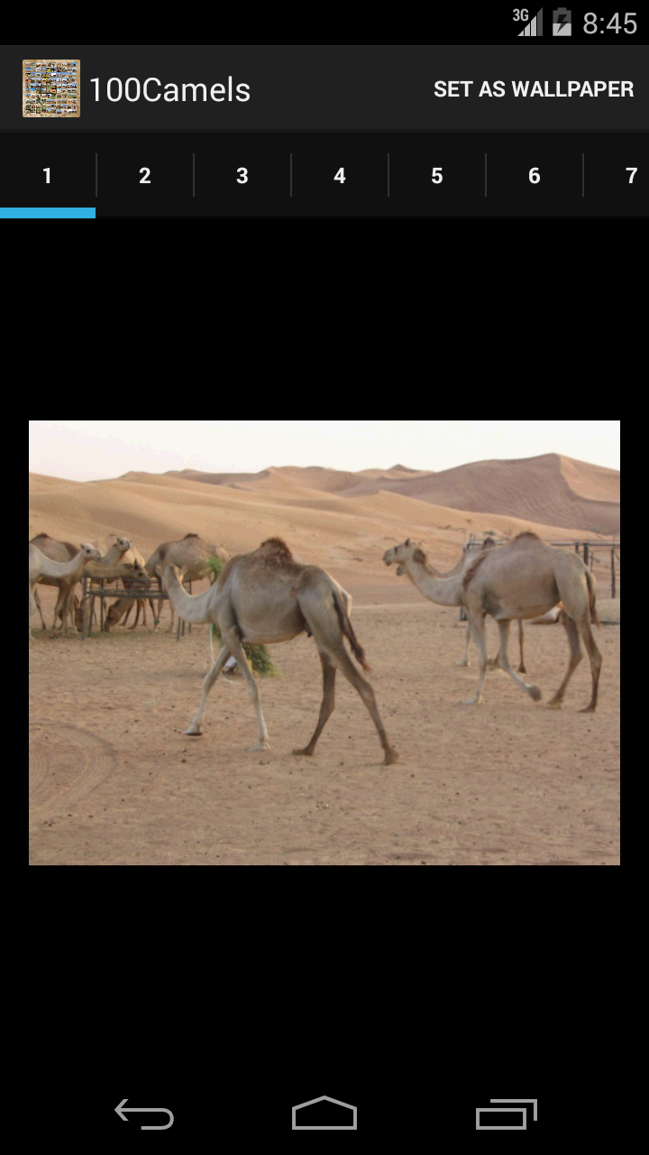 Camel Wallpaper App - App on Amazon Appstore