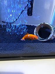 Amazon.co.jp: サンミューズ PSB 1L : 産業・研究開発用品