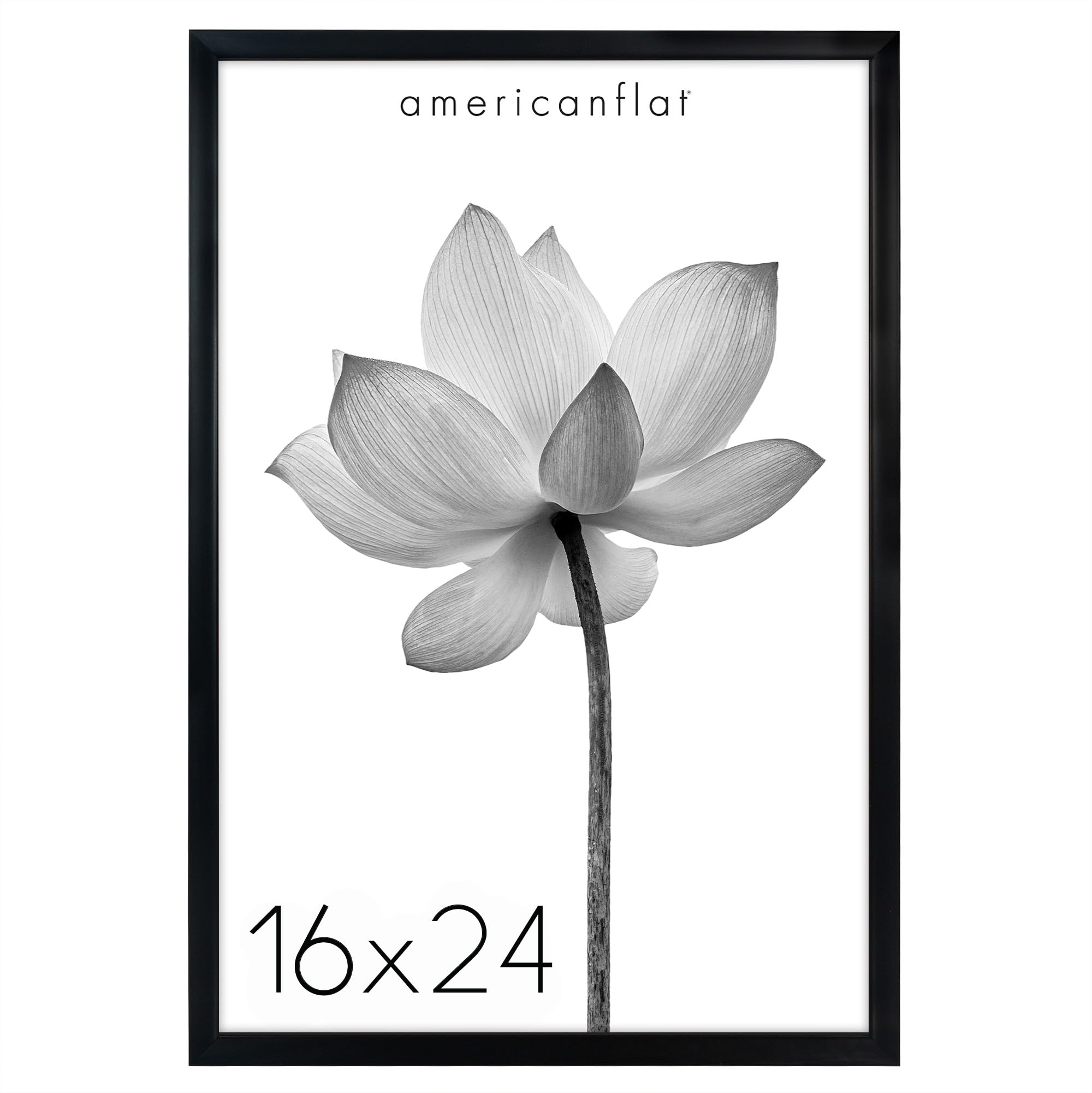 Amazon.com - Americanflat 16x24 Poster Frame with Polished Plexiglass ...