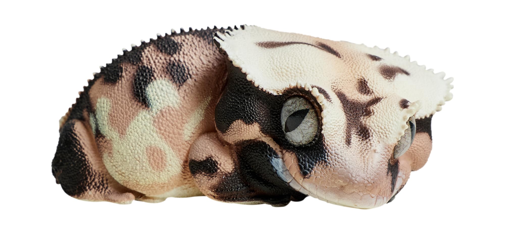 Amazon.com: IFiDEA Animal Heavenly Body Series 2 Reptile Chubby ...