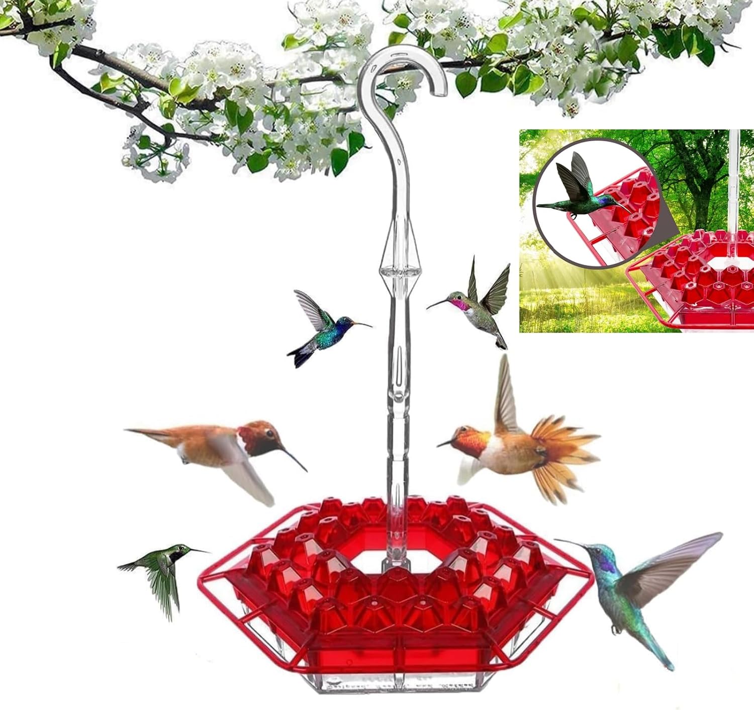 Amazon.com : shirem Hummingbird Feeder, sherem Hummingbird Feeder ...