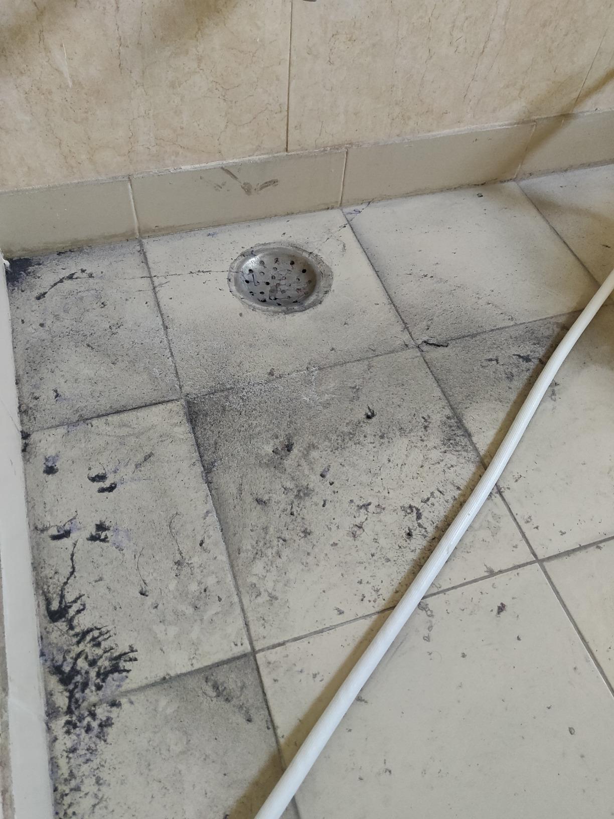 Xbrite Denims-Professional Jeans Care Detergent : Amazon.in: Health ...