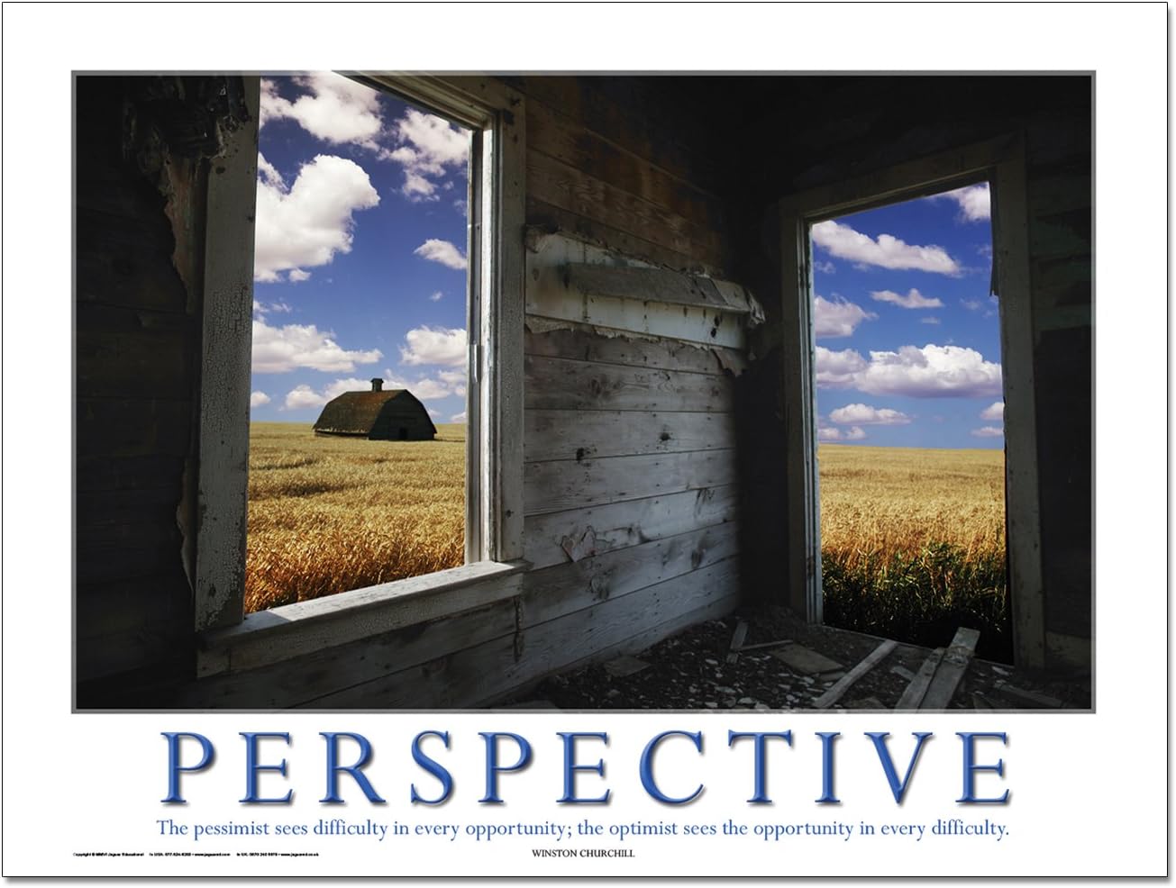 Amazon.com: Perspective Motivational Laminated Poster, Inspirational ...