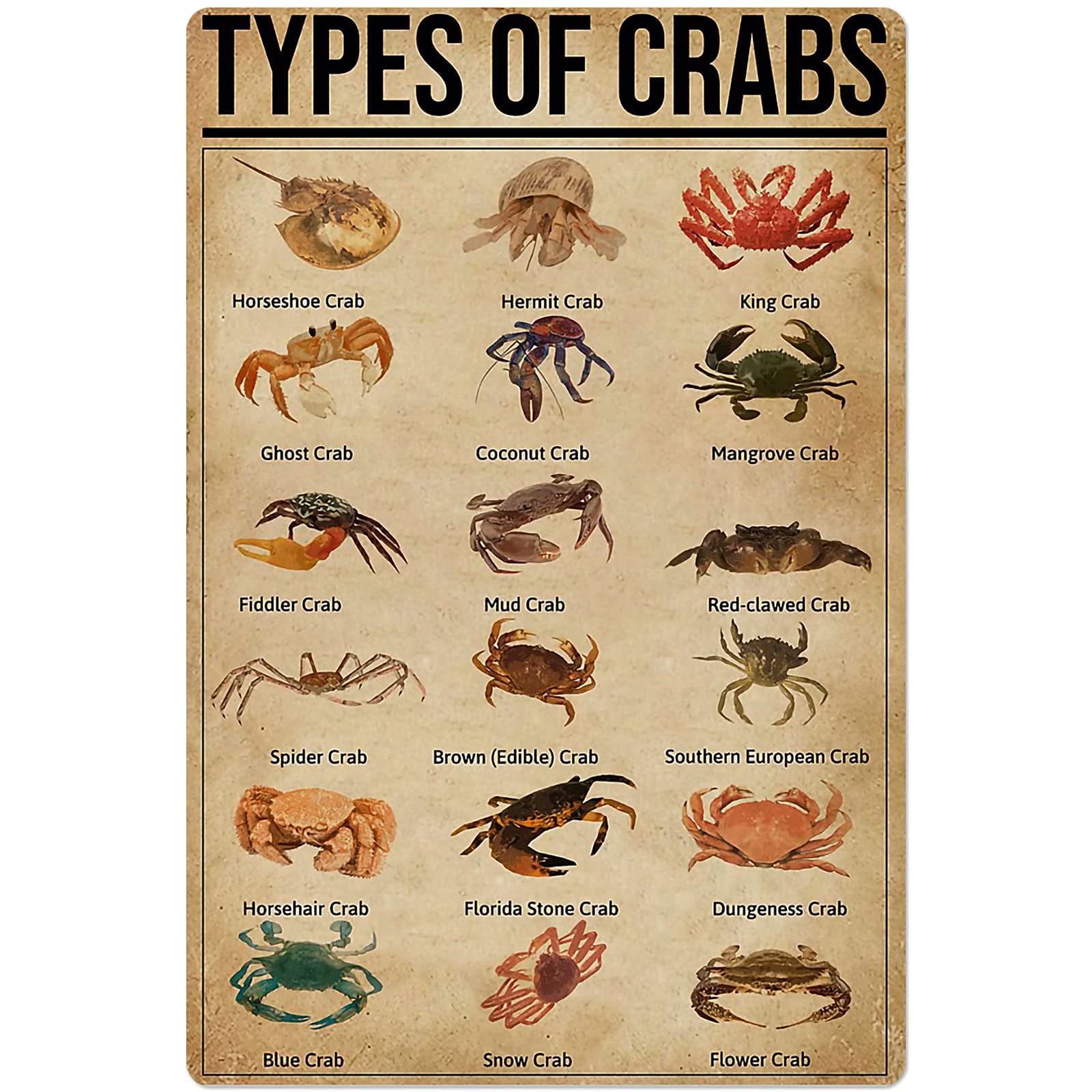 Crab Signs Prices