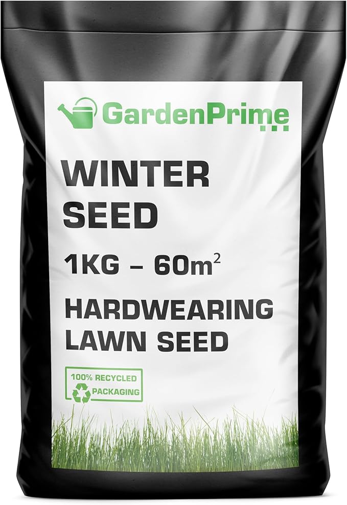 GardenPrime Winter Lawn Seed - 1KG Premium Durable Grass Seed for ...