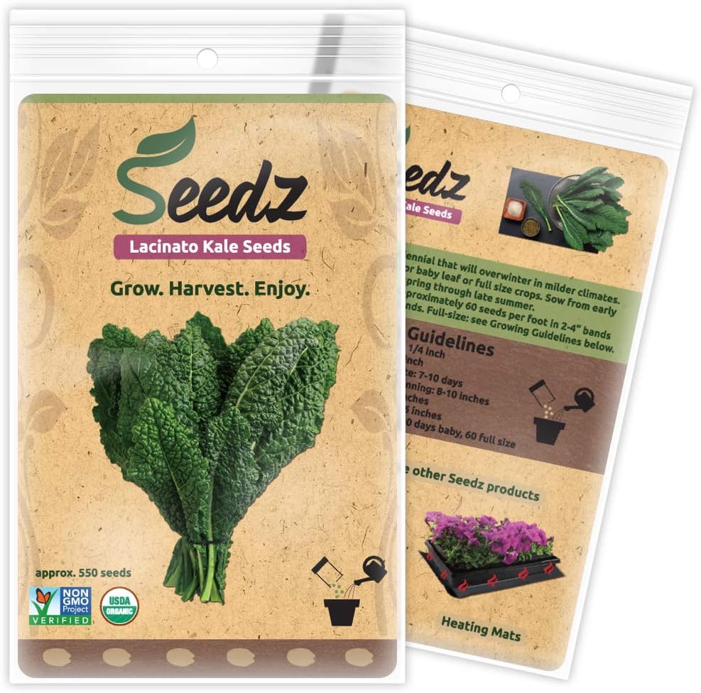 Amazon.com : Organic Kale Seeds, APPR. 550, Lacinato Kale, Heirloom ...