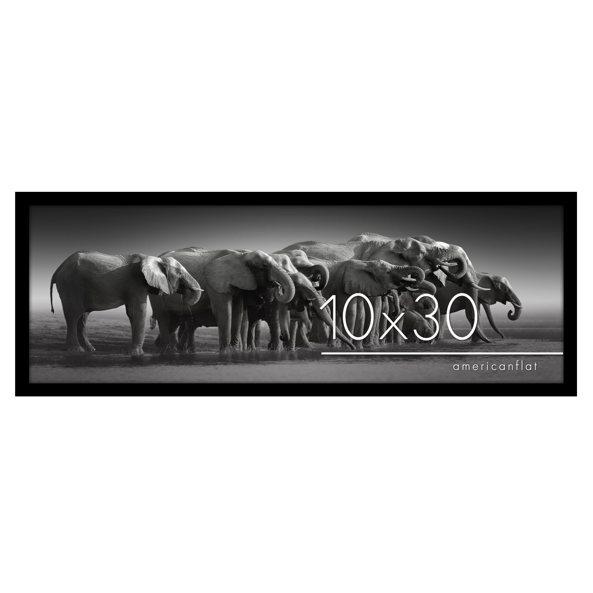Amazon.com - Americanflat 10x30 Picture Frame with Polished Plexiglass ...
