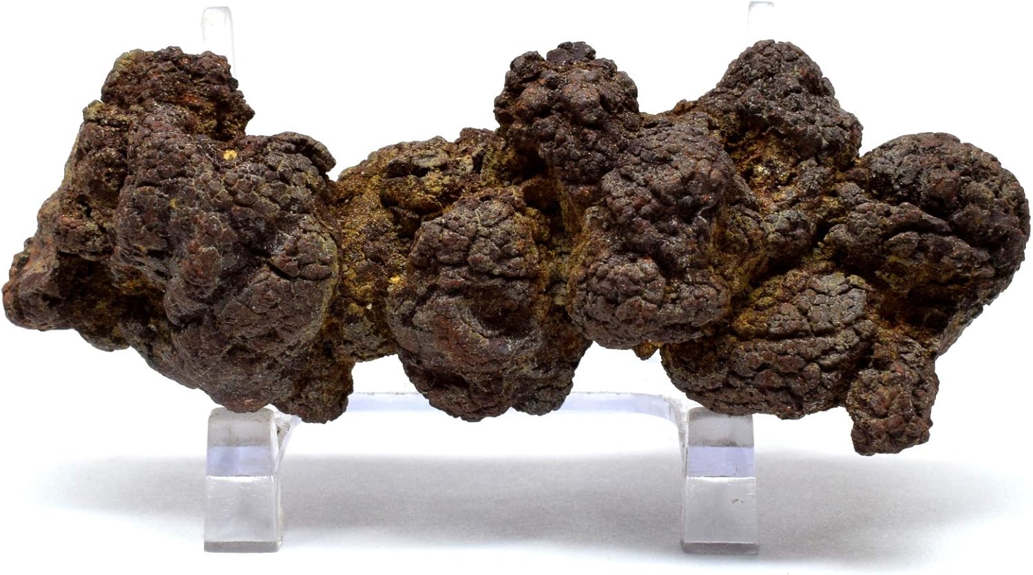 Amazon.com: HQRP-Crystal 4.2" 180g Dinosaur Coprolite Dung Natural ...