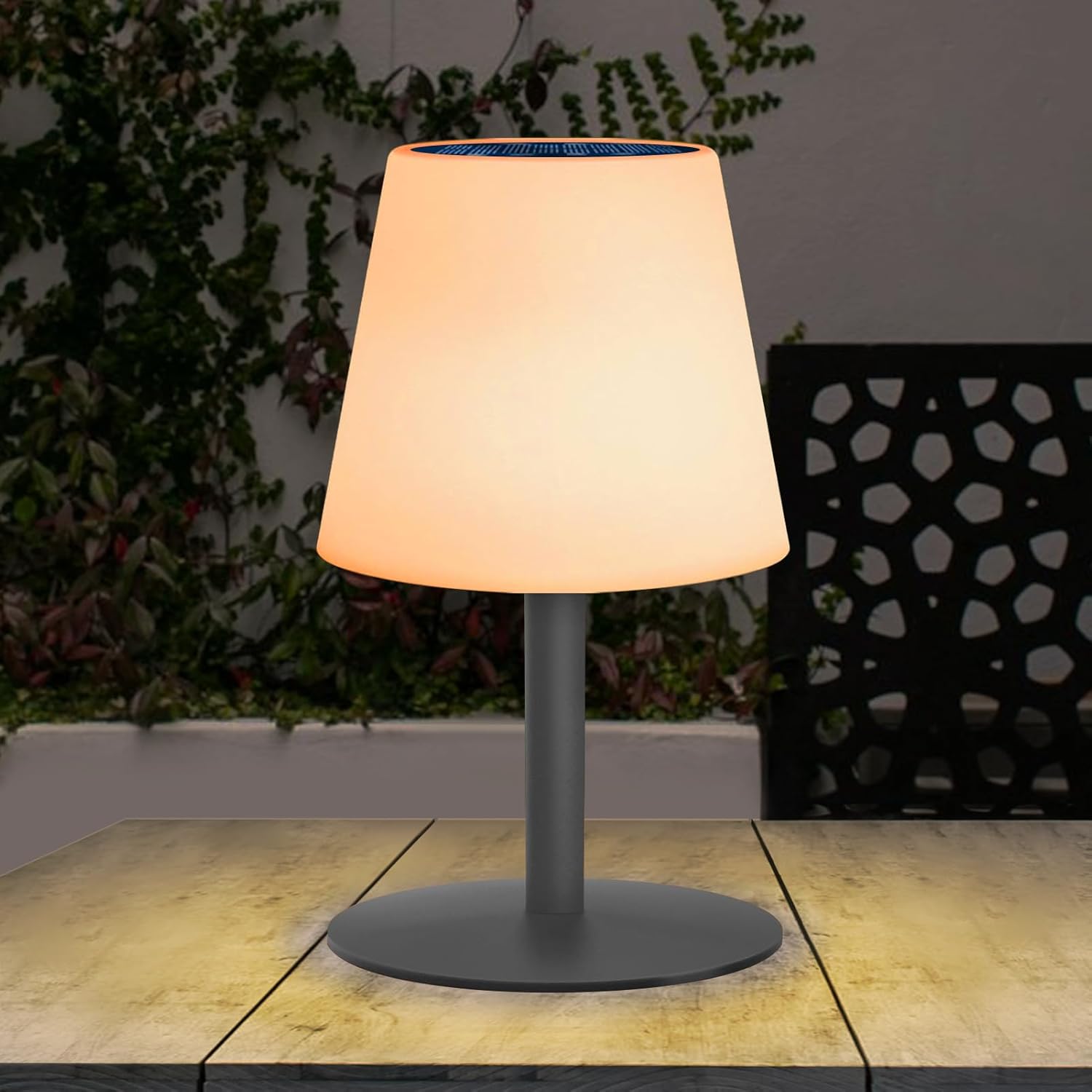 light to hope Solar Cordless Table Lamp Rechargeable, 3000K/6000K ...