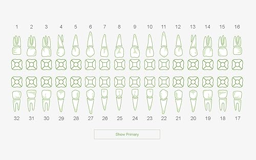 Dental Chart - App on Amazon Appstore