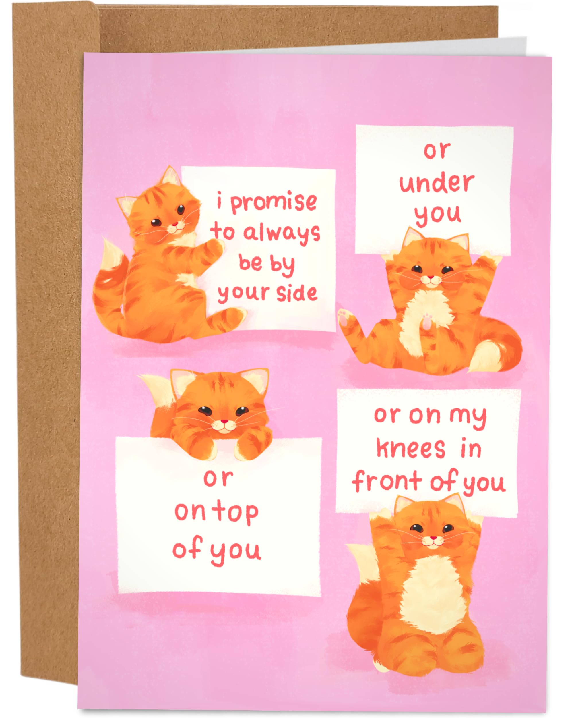 Amazon.com : Sleazy Greetings Cats Funny Birthday Card For Him Her ...