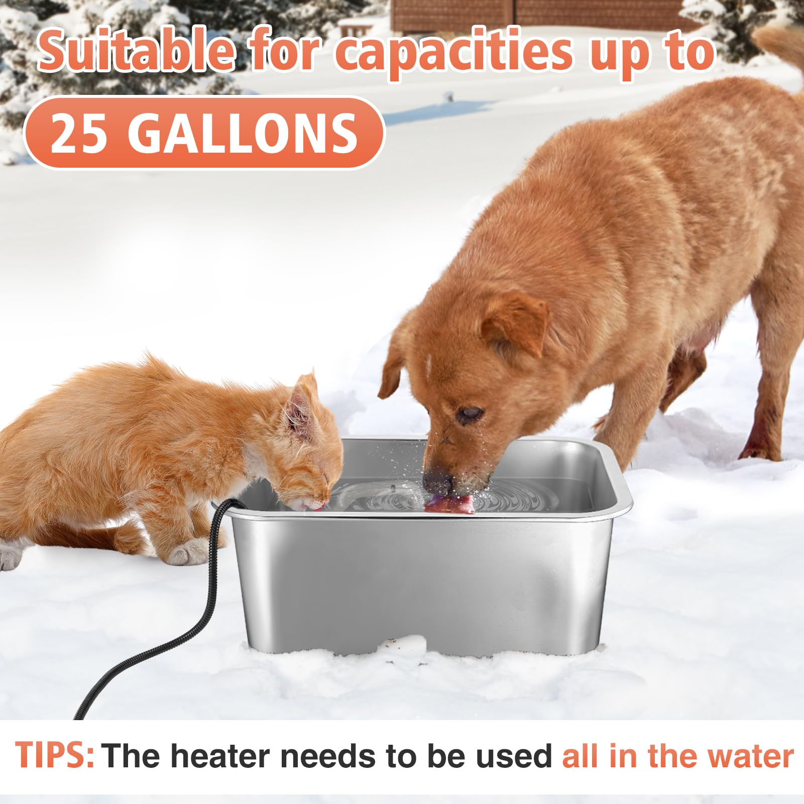 Snapklik.com : Dog Water Heater - 250W De-icer For Winter Outdoor Cat ...