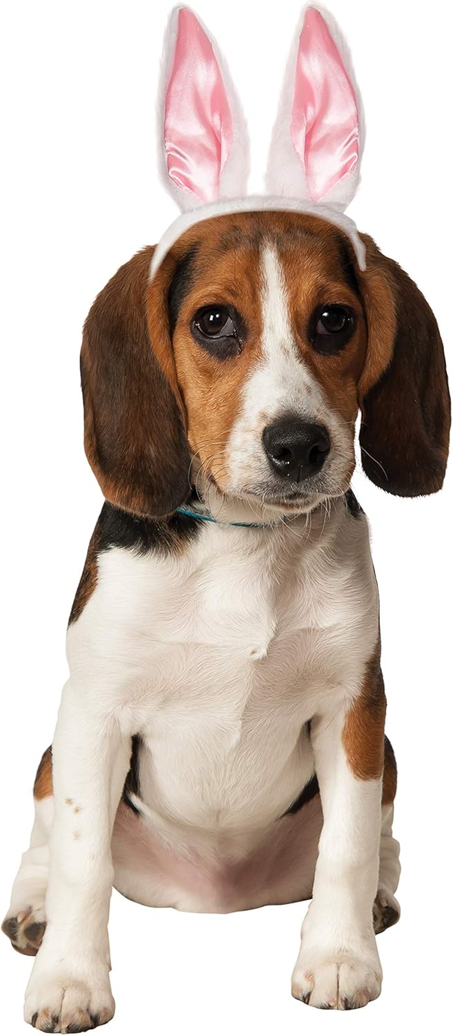 Amazon.com : Rubie's Bunny Ears for Your Pet, Medium/Large, White Pink ...