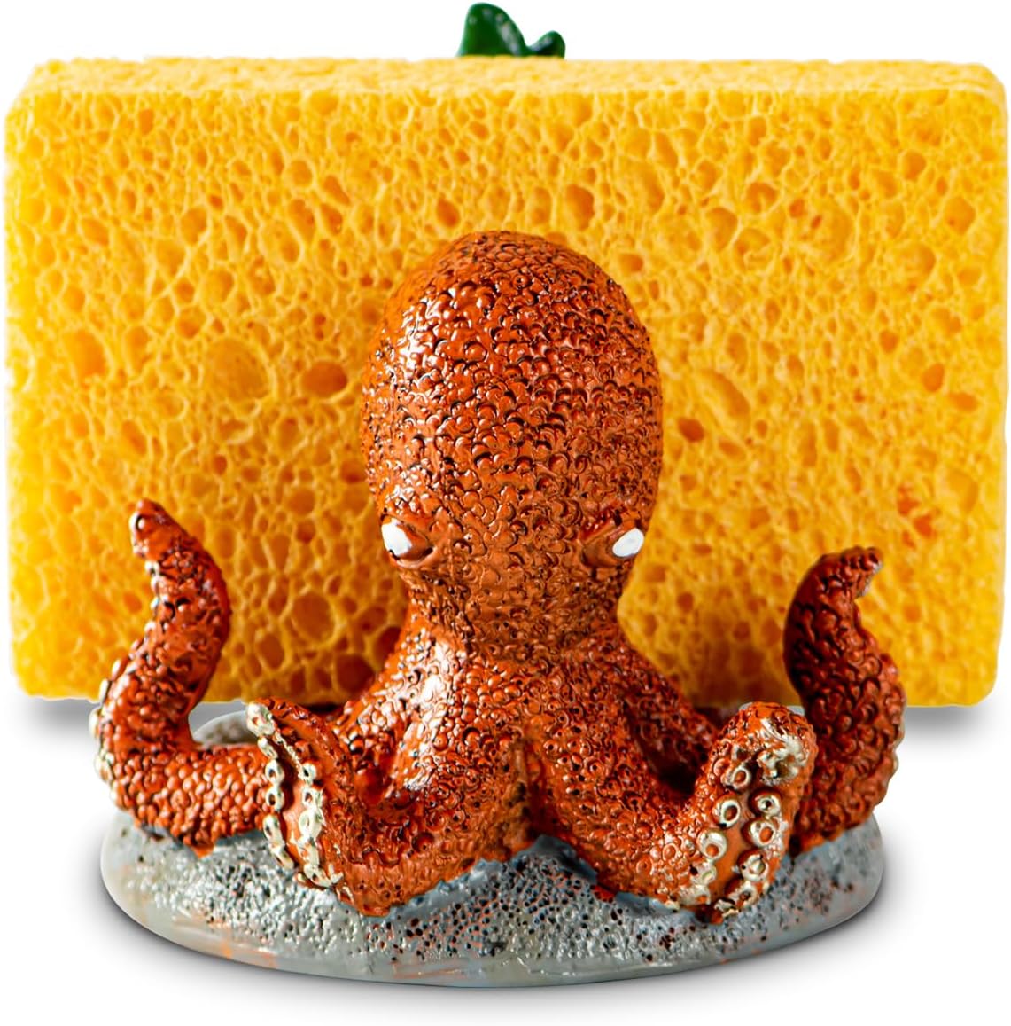 Amazon.com - MONMOB Cute Ceramic Frog Sponge Holder for Kitchen Sink 4. ...