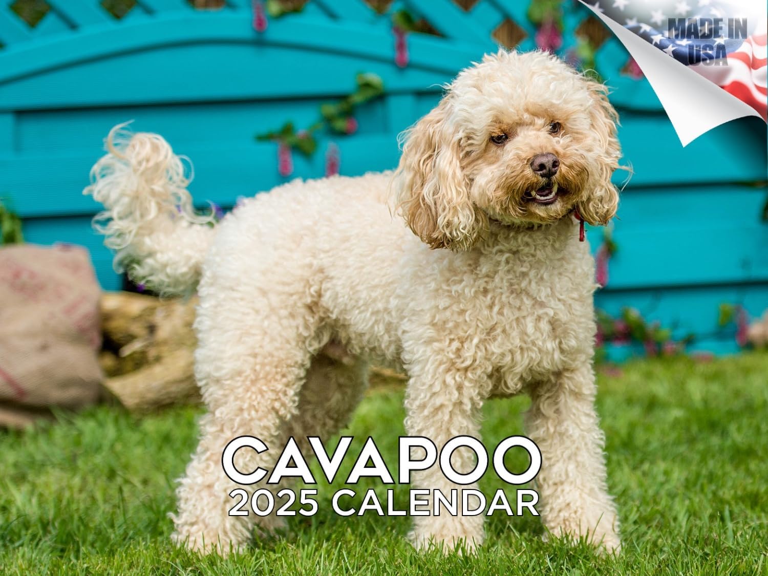 Amazon.com : 2024 2025 Cavapoo Calendar - Dog Breed Monthly Wall ...