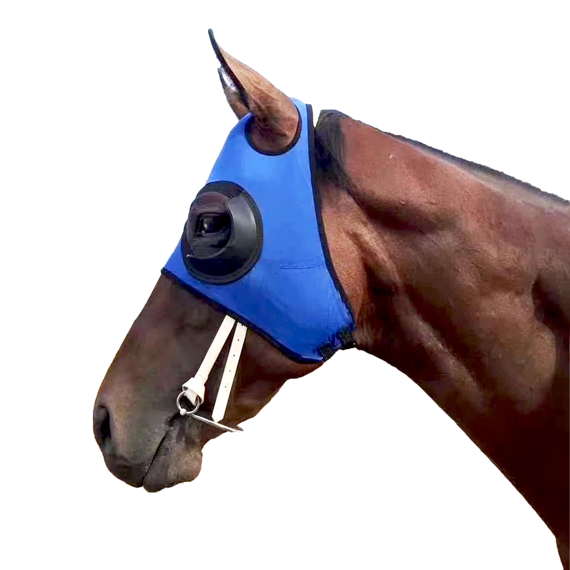 Amazon.com: WANGZHAOKEJISM Horse Racing Eye mask,Horse Fly Control ...