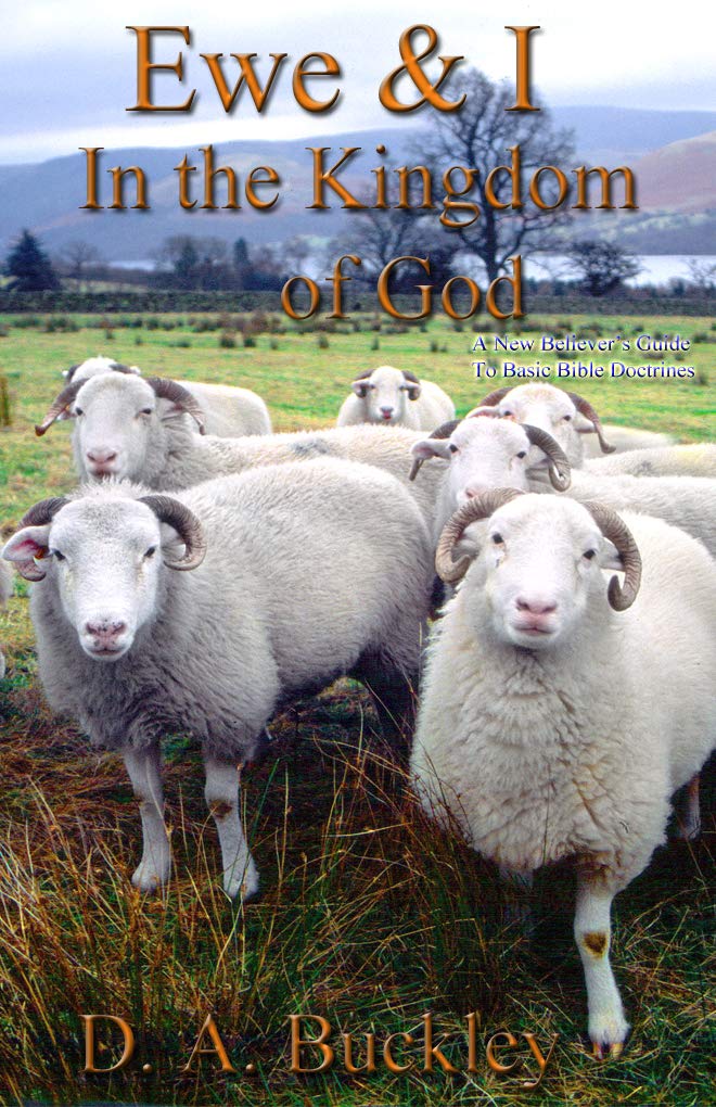 Ewe & I In The Kingdom of God: A New Believer's Guide to Basic Bible ...