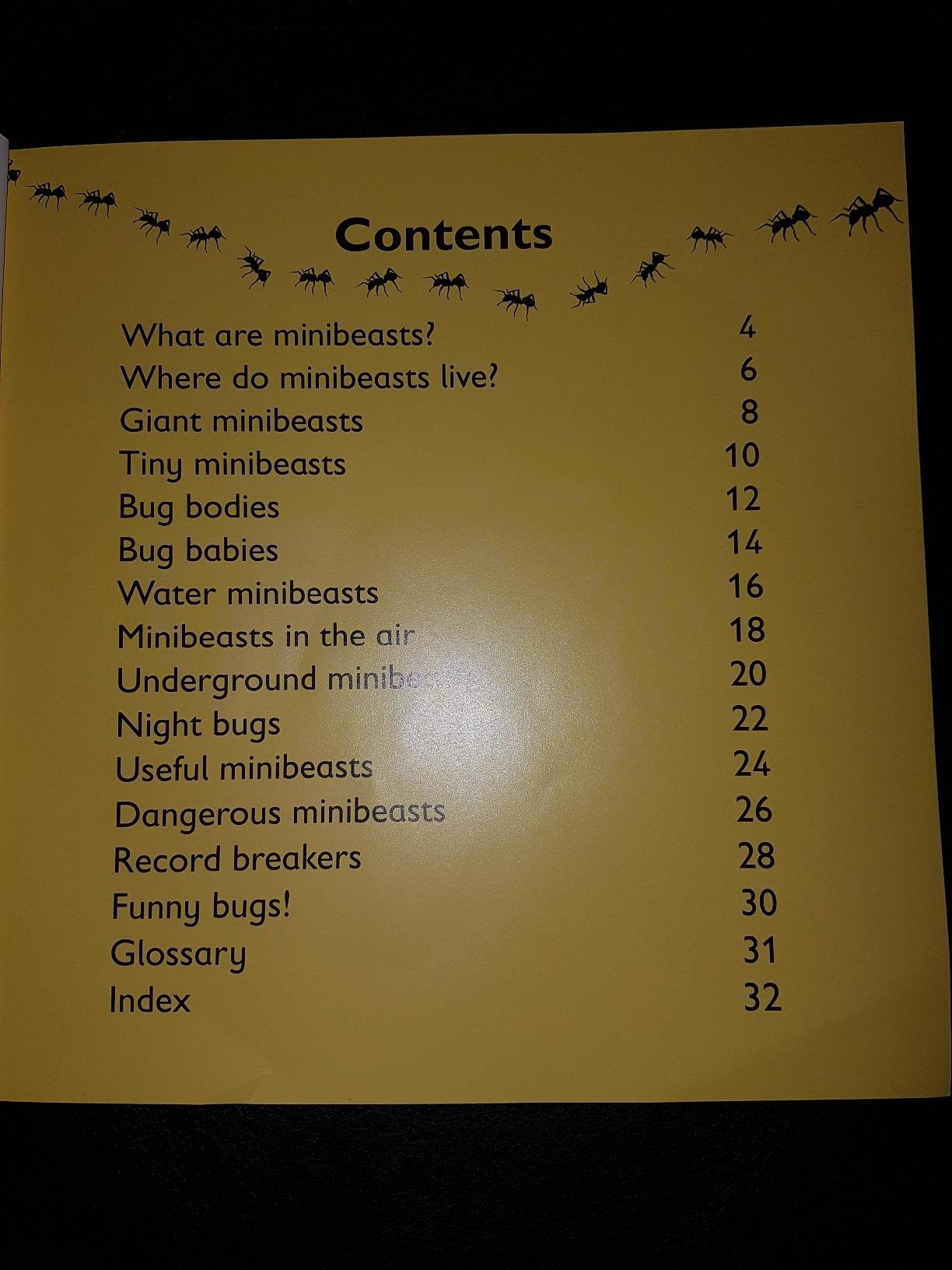 Minibeasts: Ladybird First Fabulous Facts: Amazon.co.uk: Ladybird ...