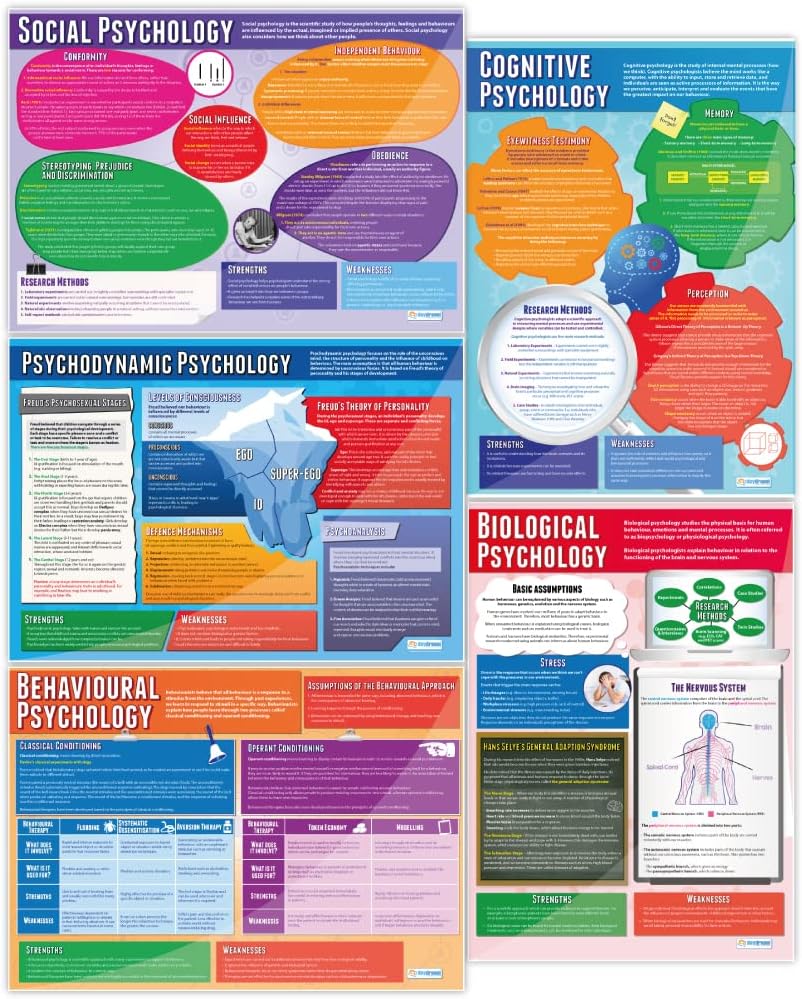 Amazon.com: Daydream Education Psychological Approaches Classroom ...