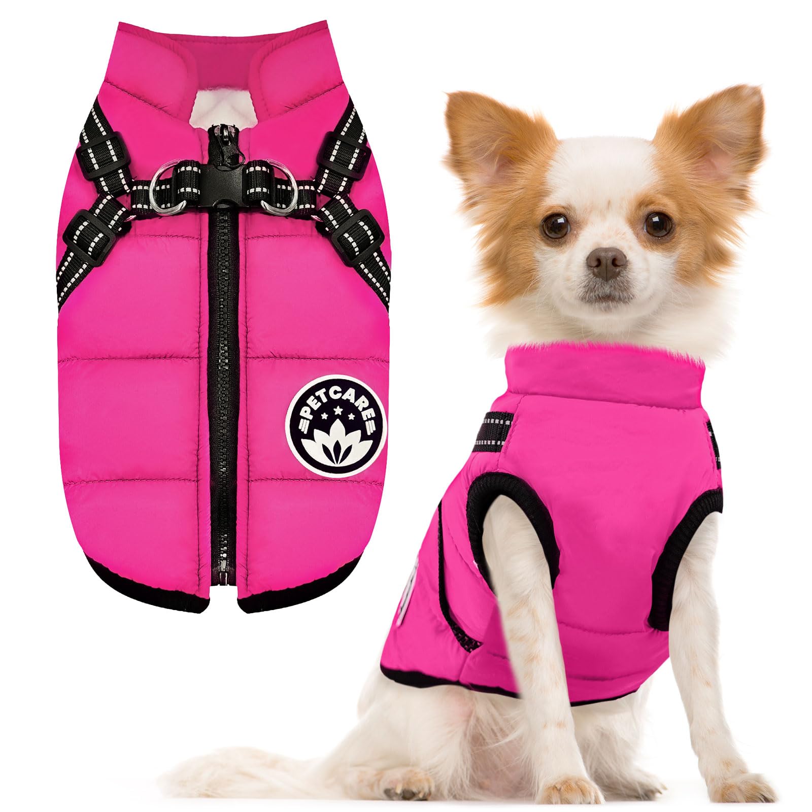 Amazon.com : PETCARE Winter Dog Coat with Harness Built in Waterproof ...