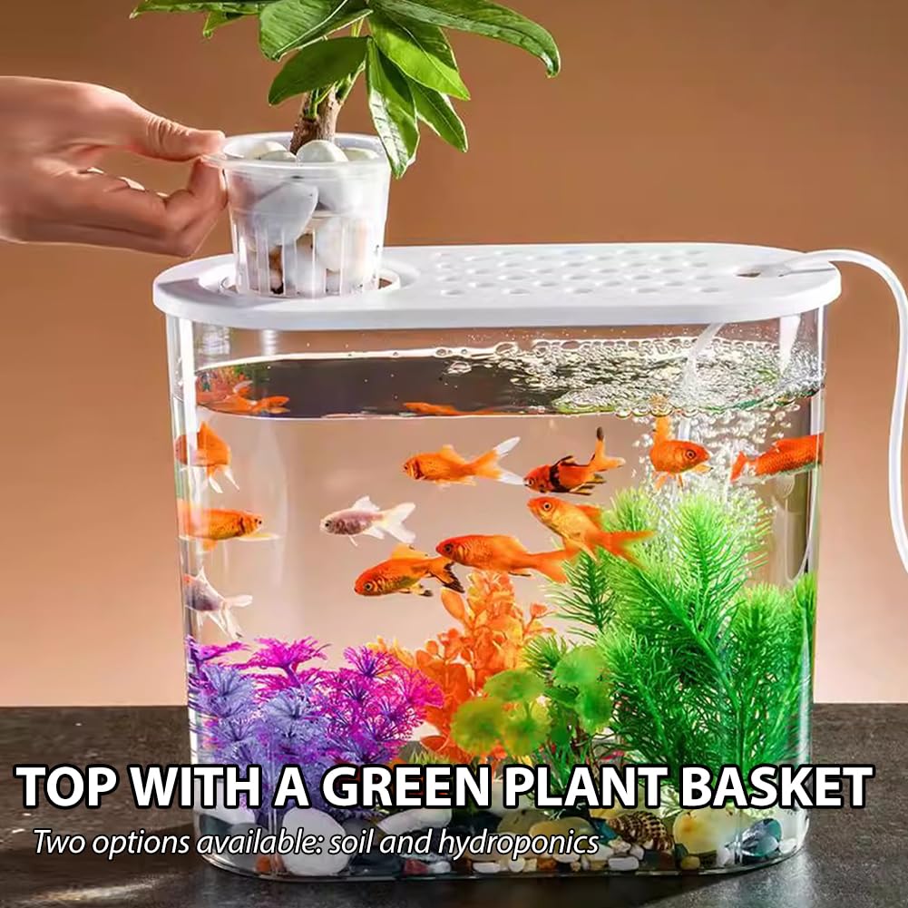 Office Fish Tank 2.8L Desktop Aquarium Tank - Transparent Plastic Betta ...