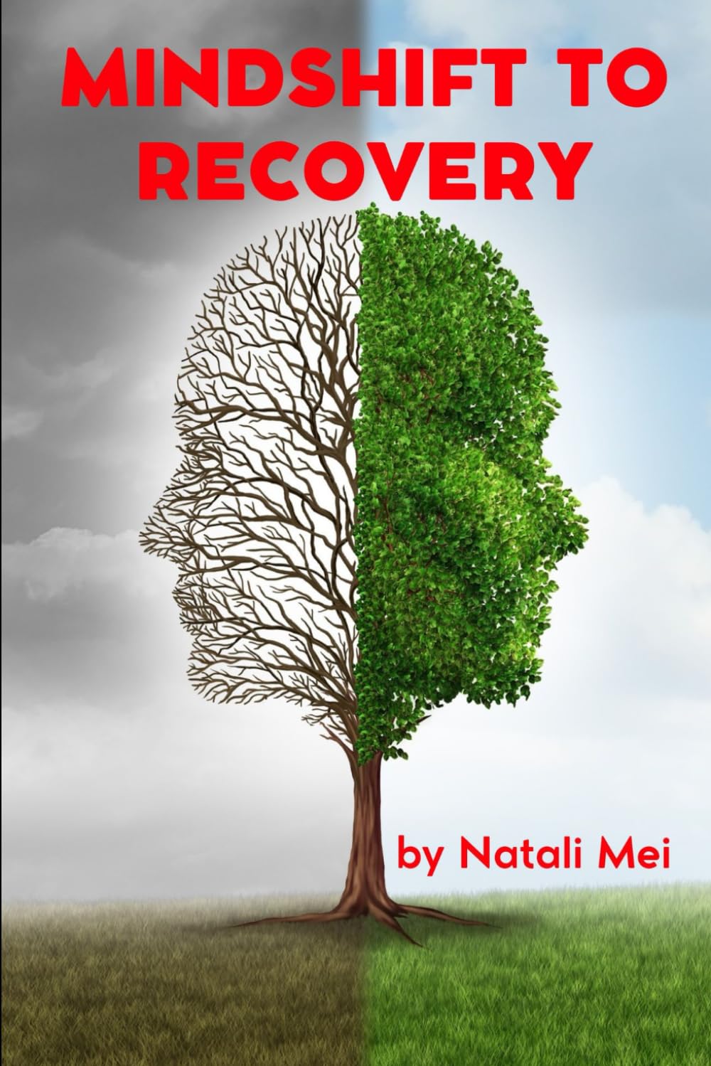 MindShift to Recovery (Addiction Recovery): Mei, Natali: 9798879936377 ...