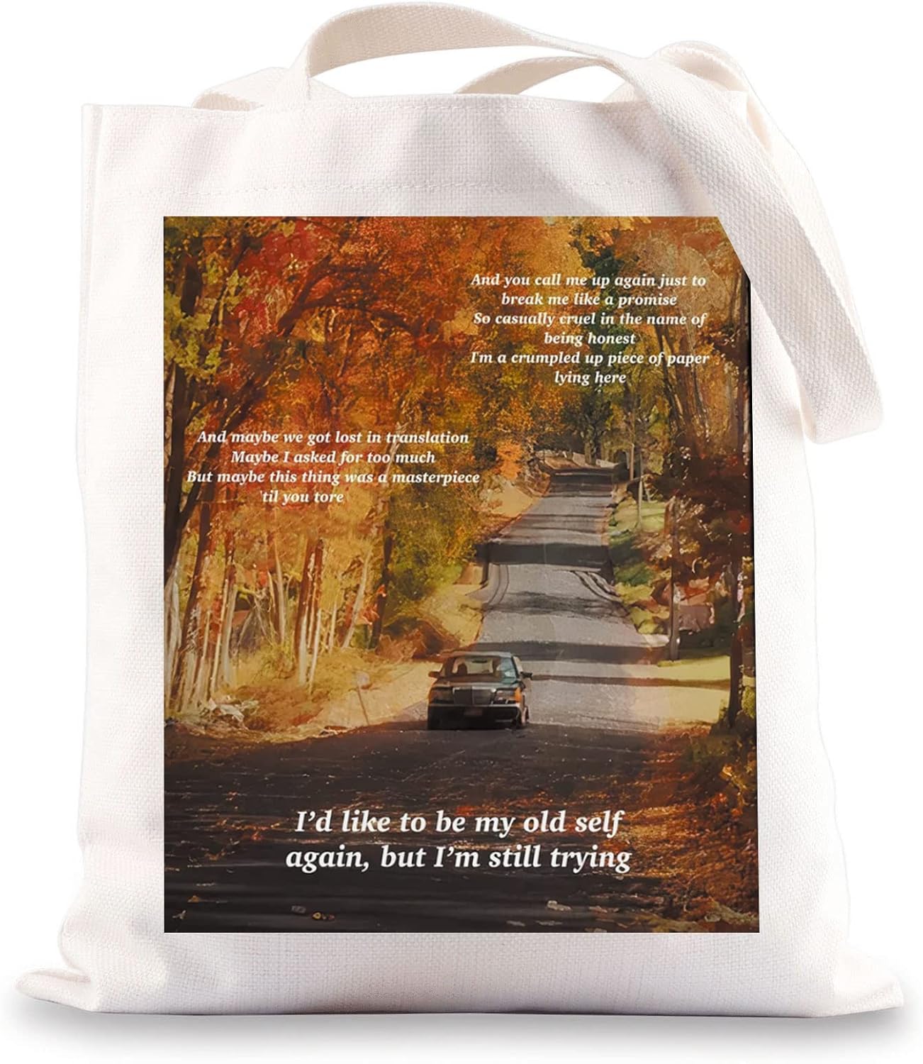 Amazon.com: BWWKTOP Singer Canvas Tote Bag Music Lover Gift Song Lyrics ...