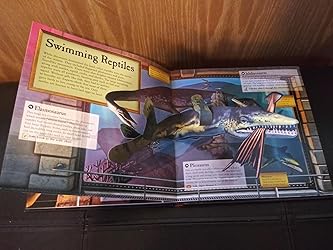 The Dinosaur Museum: An Unforgettable, Interactive Virtual Tour Through ...