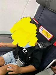 Amazon.com : Newroutes Child Airplane Safety Travel Harness - The ...