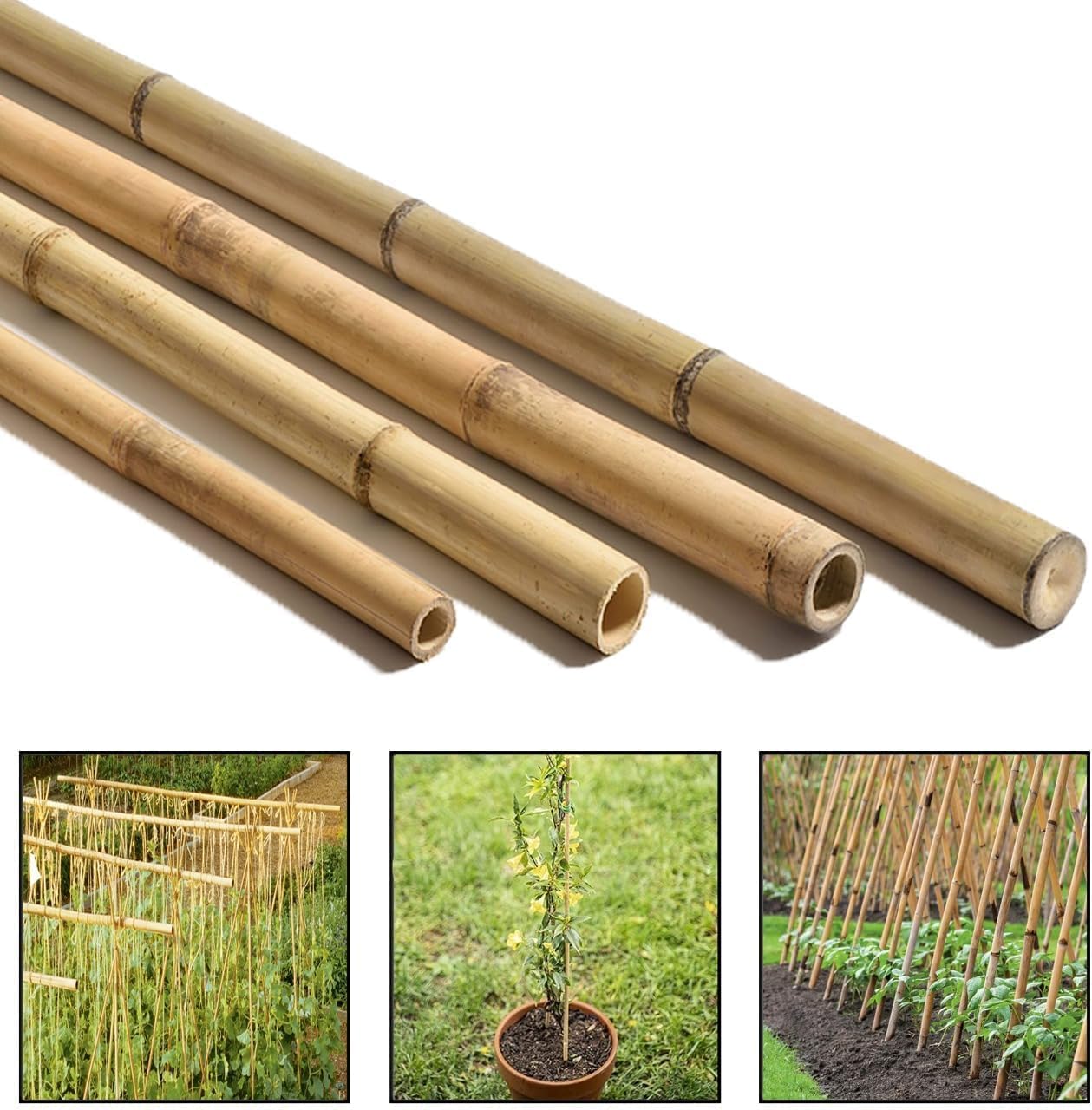 Z&A Thick Bamboo Canes - Support for Indoor Outdoor Plants - Reusable ...