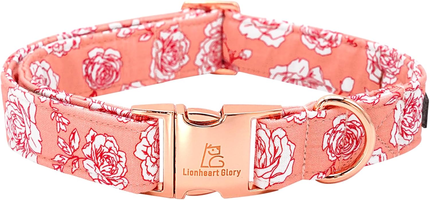 Amazon.com : Lionheart glory Valentine's Day Collar, Pink Roses Print ...