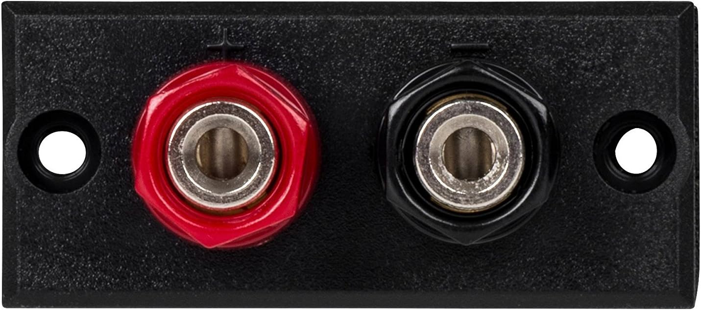 5 way binding post speaker terminals