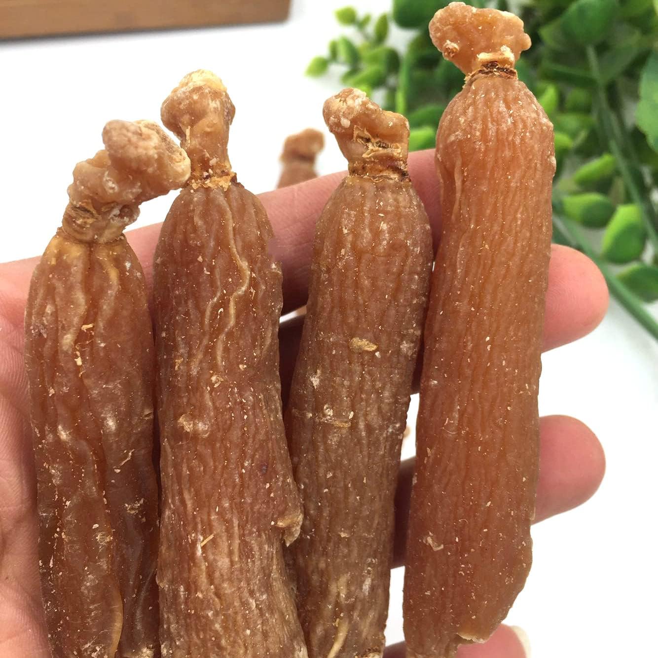 Amazon.com: Korean Red Ginseng Root ，6 Years Whole Roots 500g : Health ...