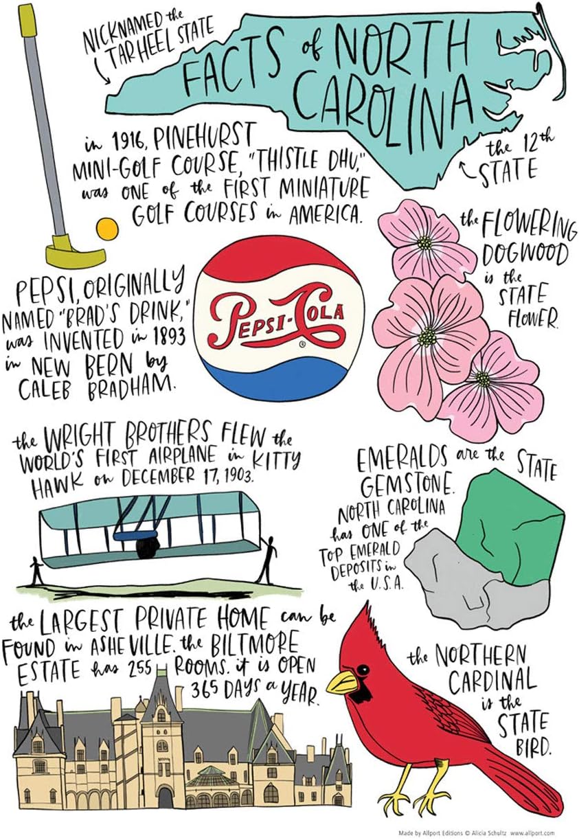 Amazon.com: Allport Editions North Carolina State Facts Kitchen Towel ...