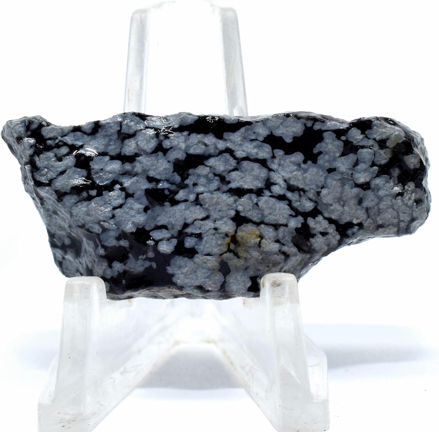 Amazon.com: 57 Carat Snowflake Obsidian Rough Black White Natural ...