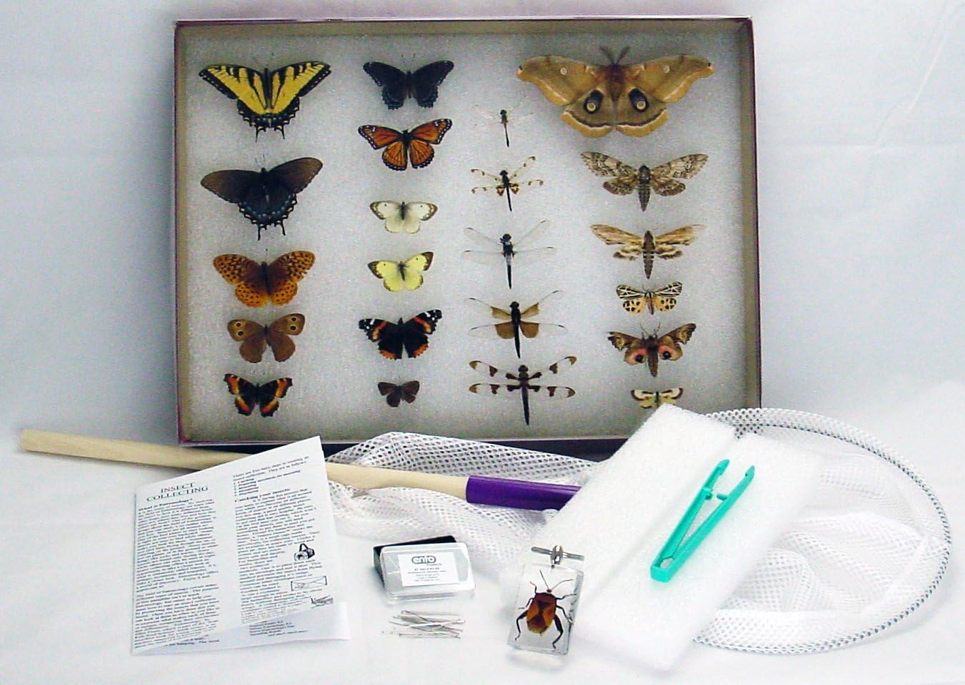 Amazon.com: Ento Insect Collecting Kit - Bug Collecting Starter Kit ...