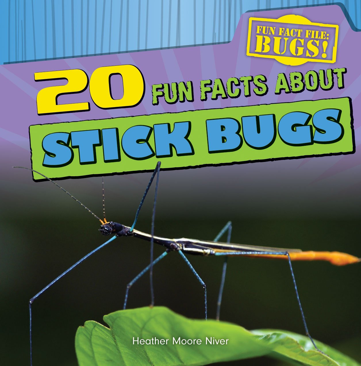 20 Fun Facts About Stick Bugs (Fun Fact File: Bugs!): Niver, Heather ...