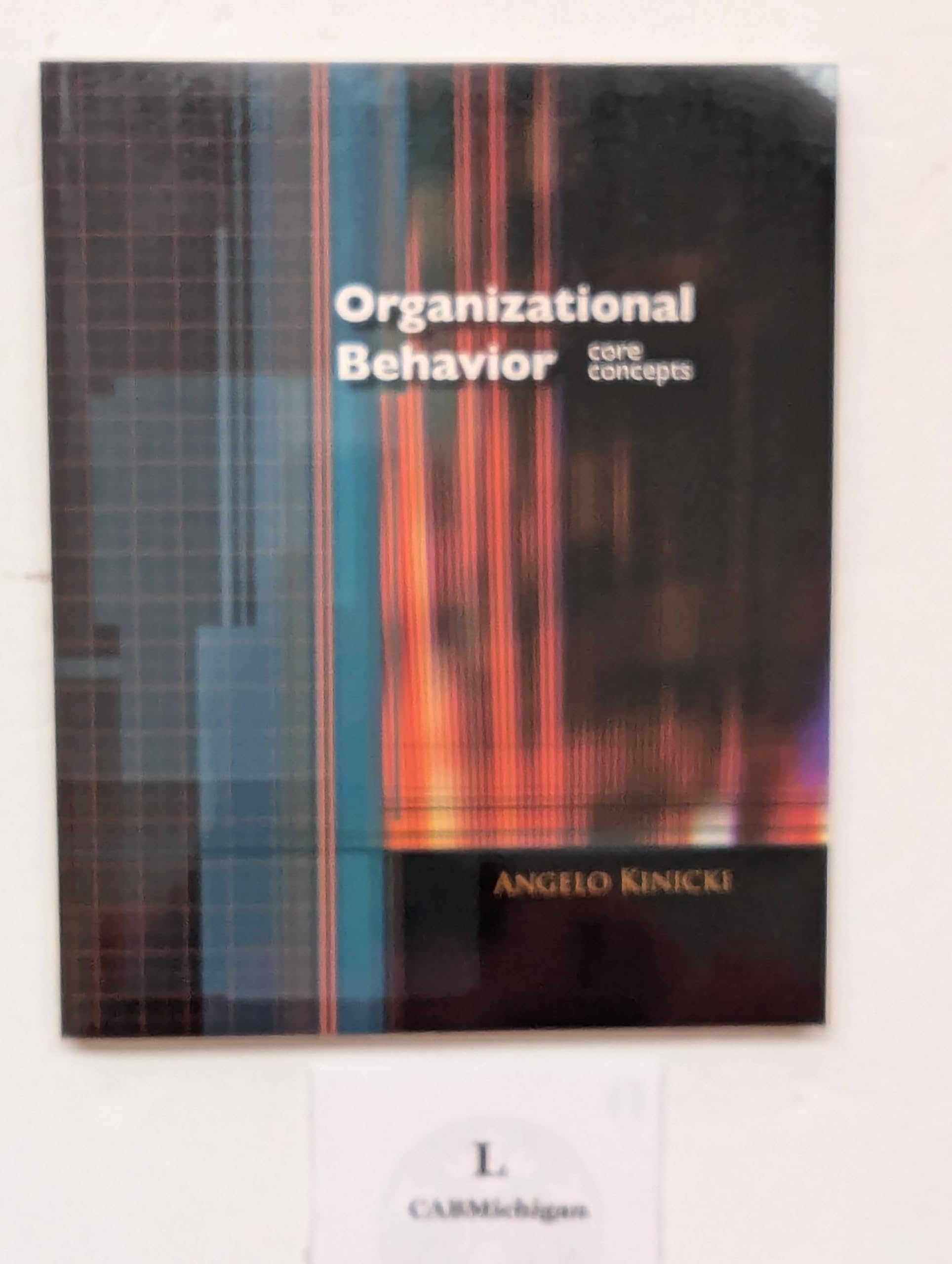 Amazon.com: Organizational Behavior: Core Concepts: 9780073530291 ...