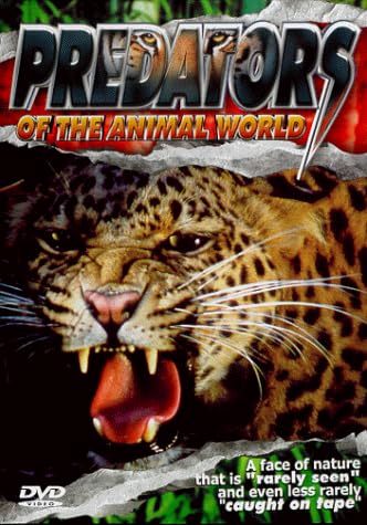 Amazon.co.jp | Predators of the Animal World [DVD] DVD・ブルーレイ ...