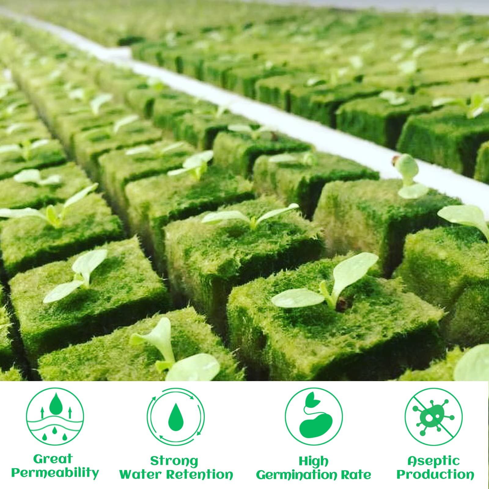 Snapklik.com : Legigo 1.2 Inch Rockwool Cubes Seed Starter Plugs For Hydroponics, RockWool ...