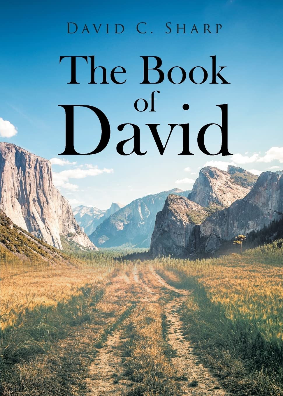 The Book of David: Sharp, David C: 9781662462009: Amazon.com: Books