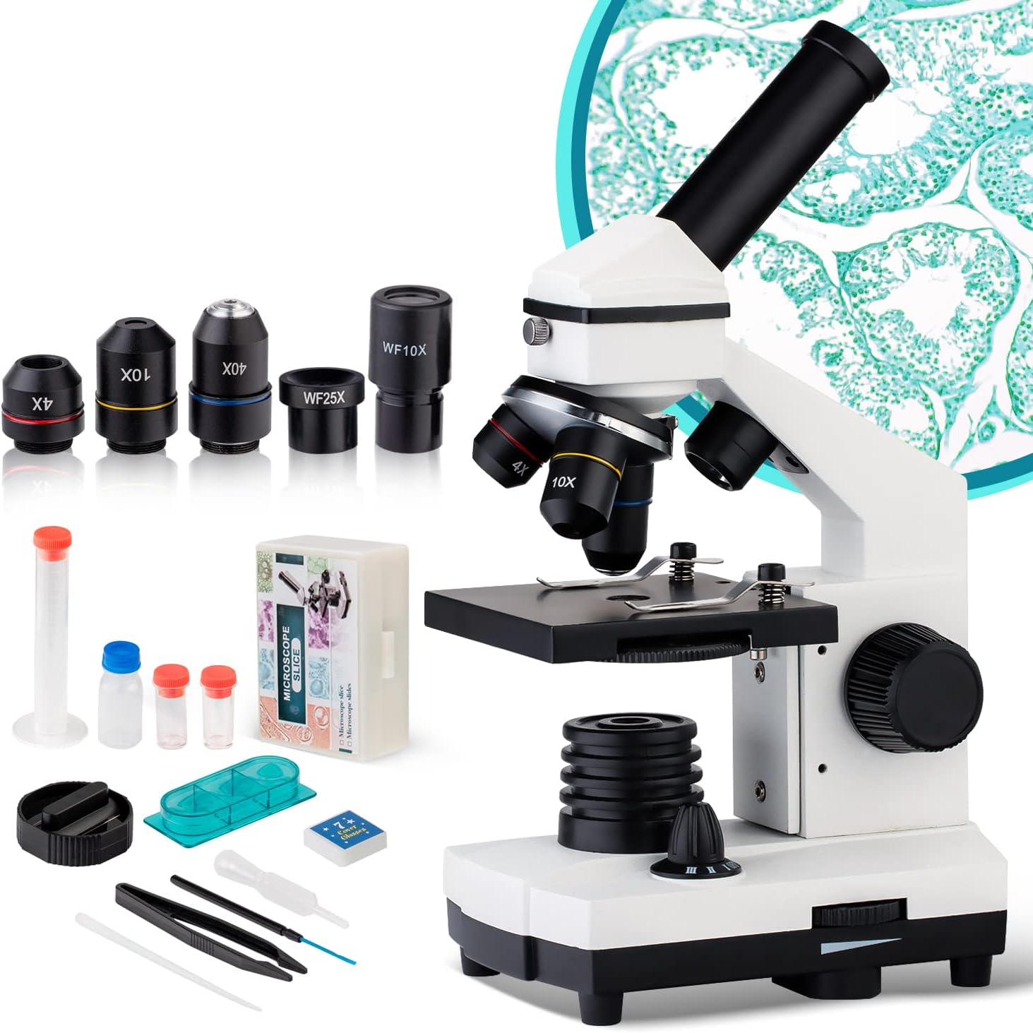 Microscope Biological for Kids, Students and Adult 250X-2000X Powerful ...