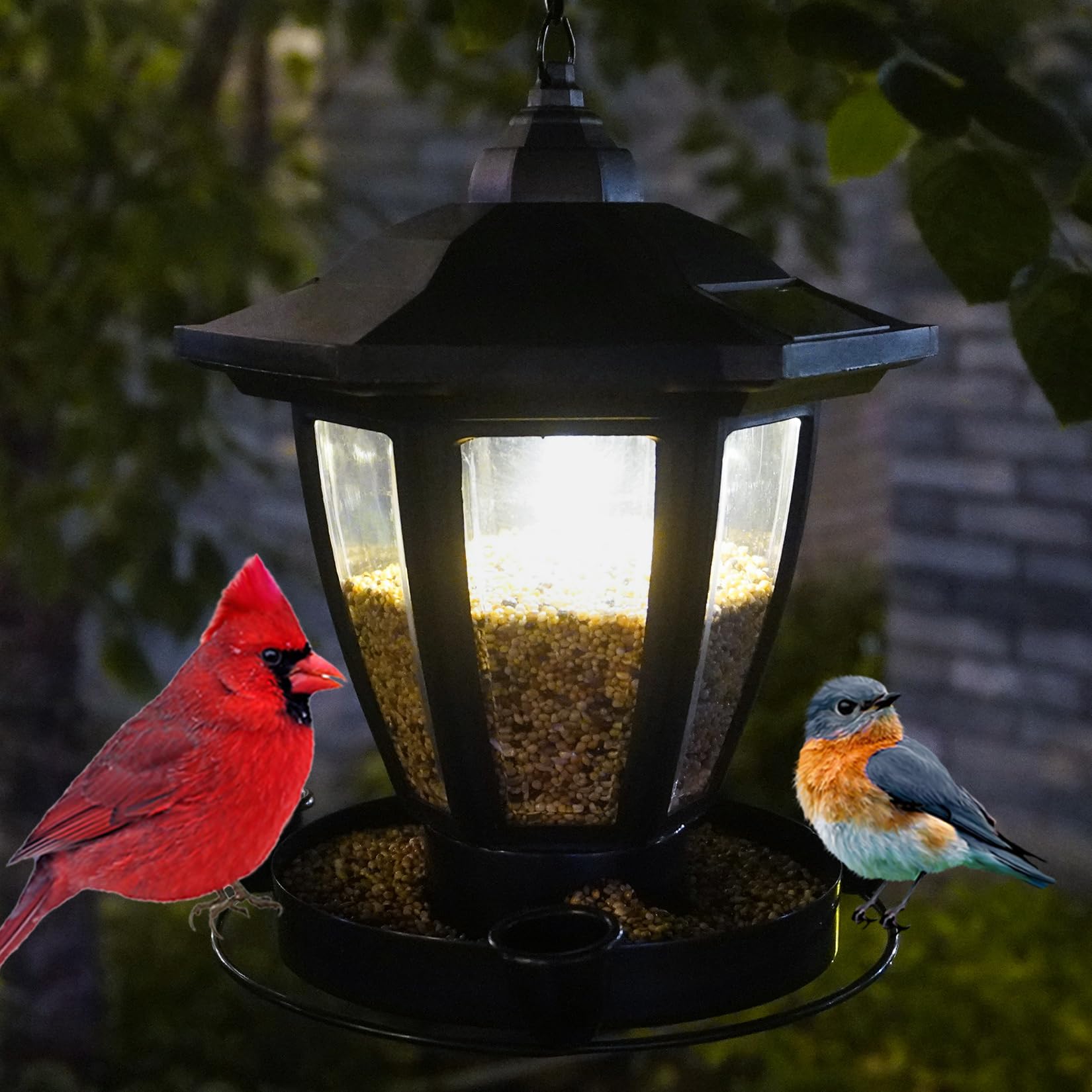 Light Fixture Bird Feeder PestOff Wall Mounting Bracket – Roamwild