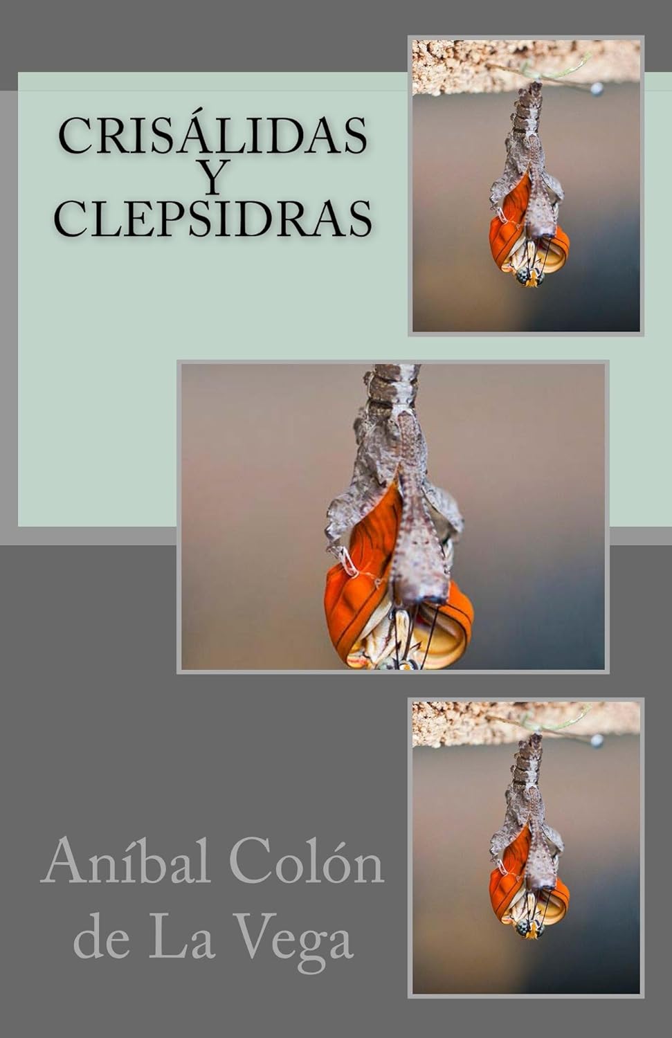 Amazon.com: Crisalidas y clepsidras (Spanish Edition) eBook : Colon de ...